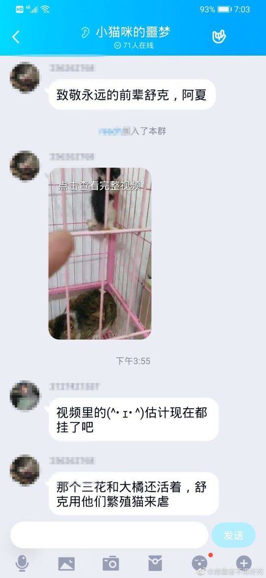 山东理工大学学生虐猫并发视频售卖 知情人士:他属于这类组织中的一员 封面新闻